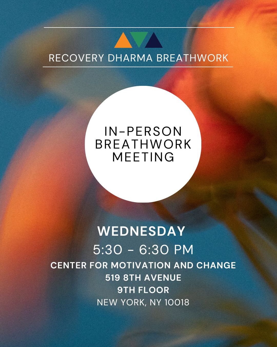 News – Recovery Dharma NYC